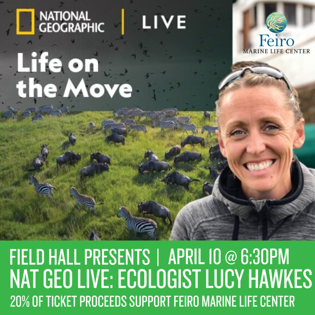 Events for October 2025 – Field Arts & Events Hall