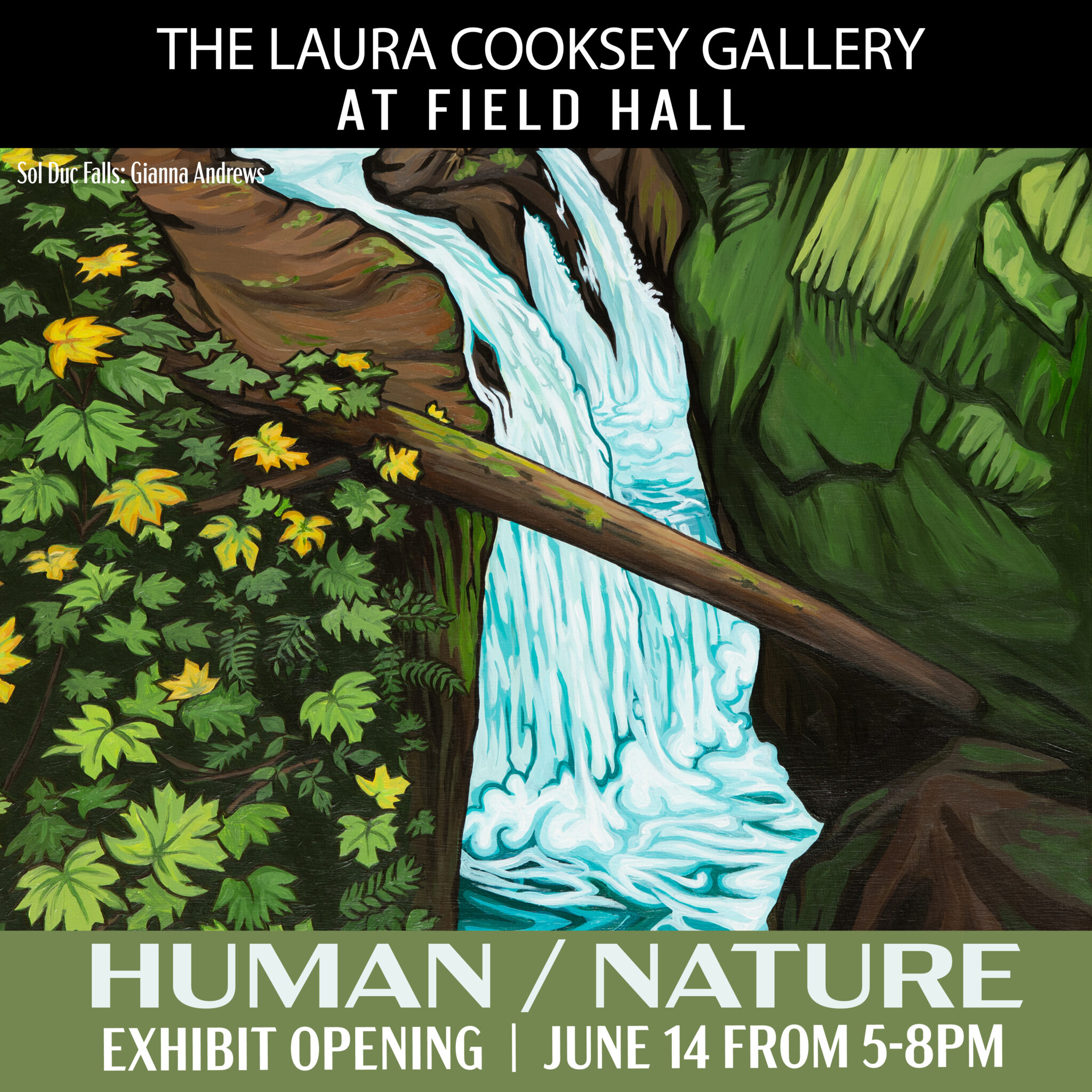 Gallery – Field Arts & Events Hall